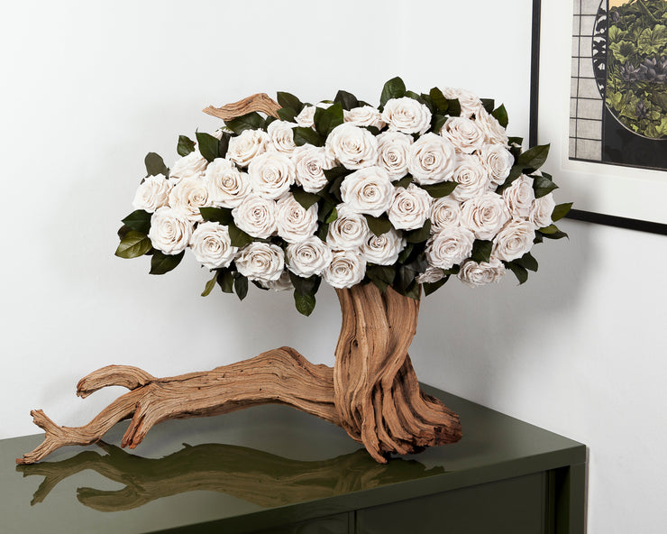 Bespoke Roses – Designed for Your Vase | OnlyRoses Kuwait